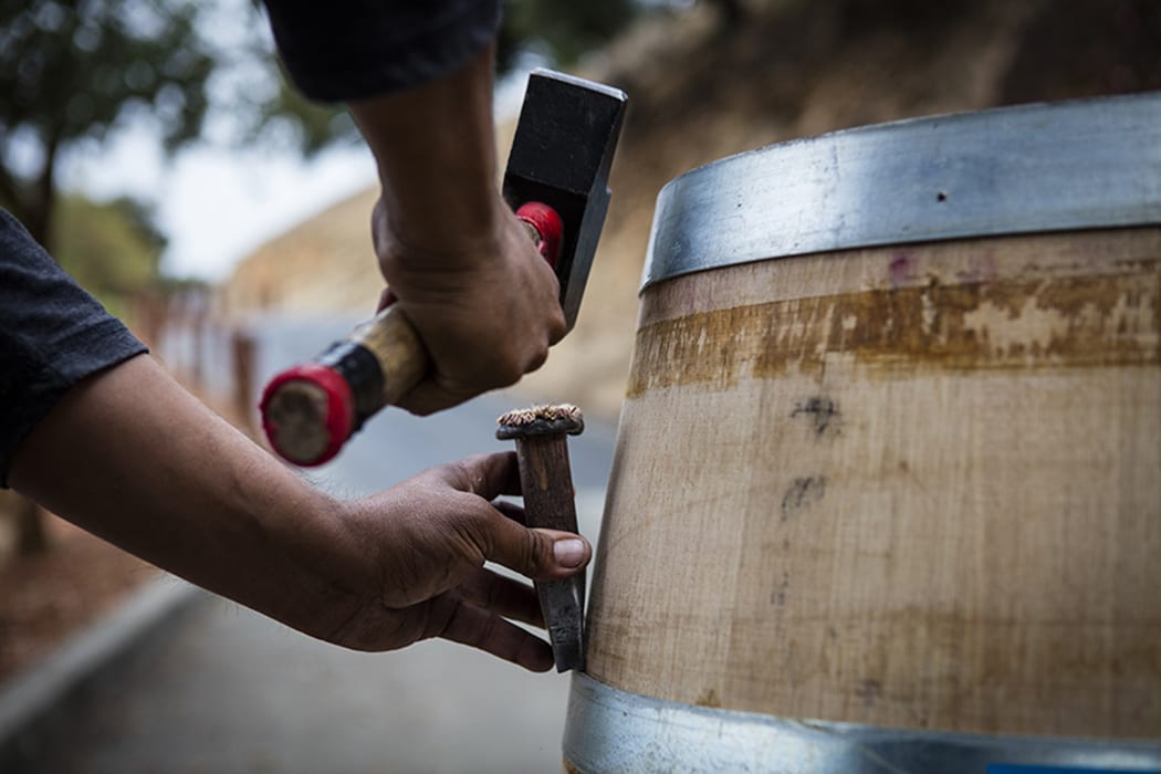 WSET Level 3 Courses – Statera Academy